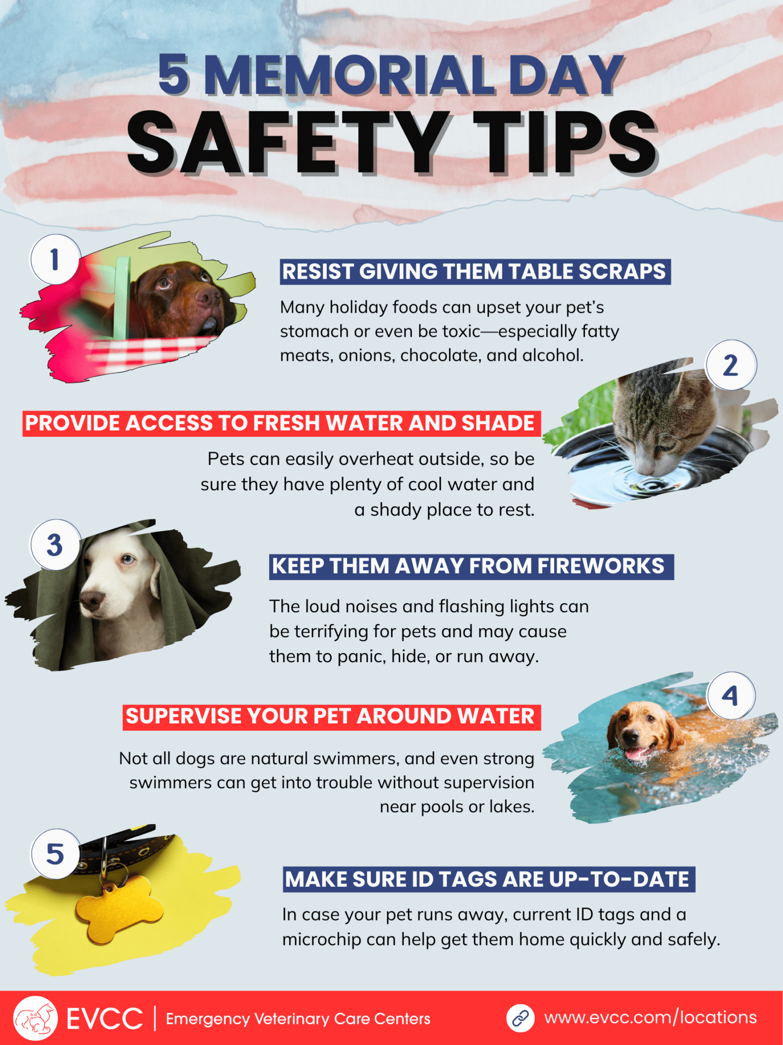 Memorial Day Pet Safety Tips | Emergency Veterinary Care Centers