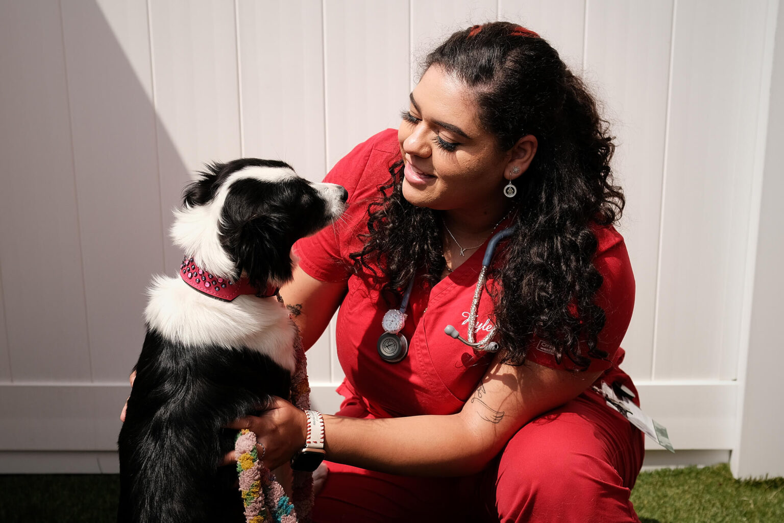 Emergency Vet Services - 24/7 | EVCC